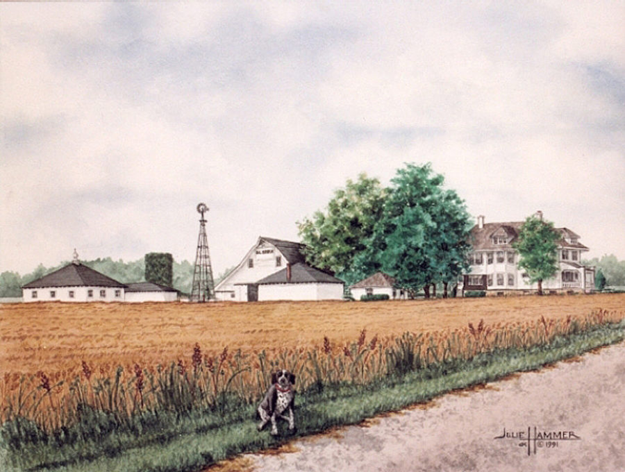 Farm | Julie Hammer